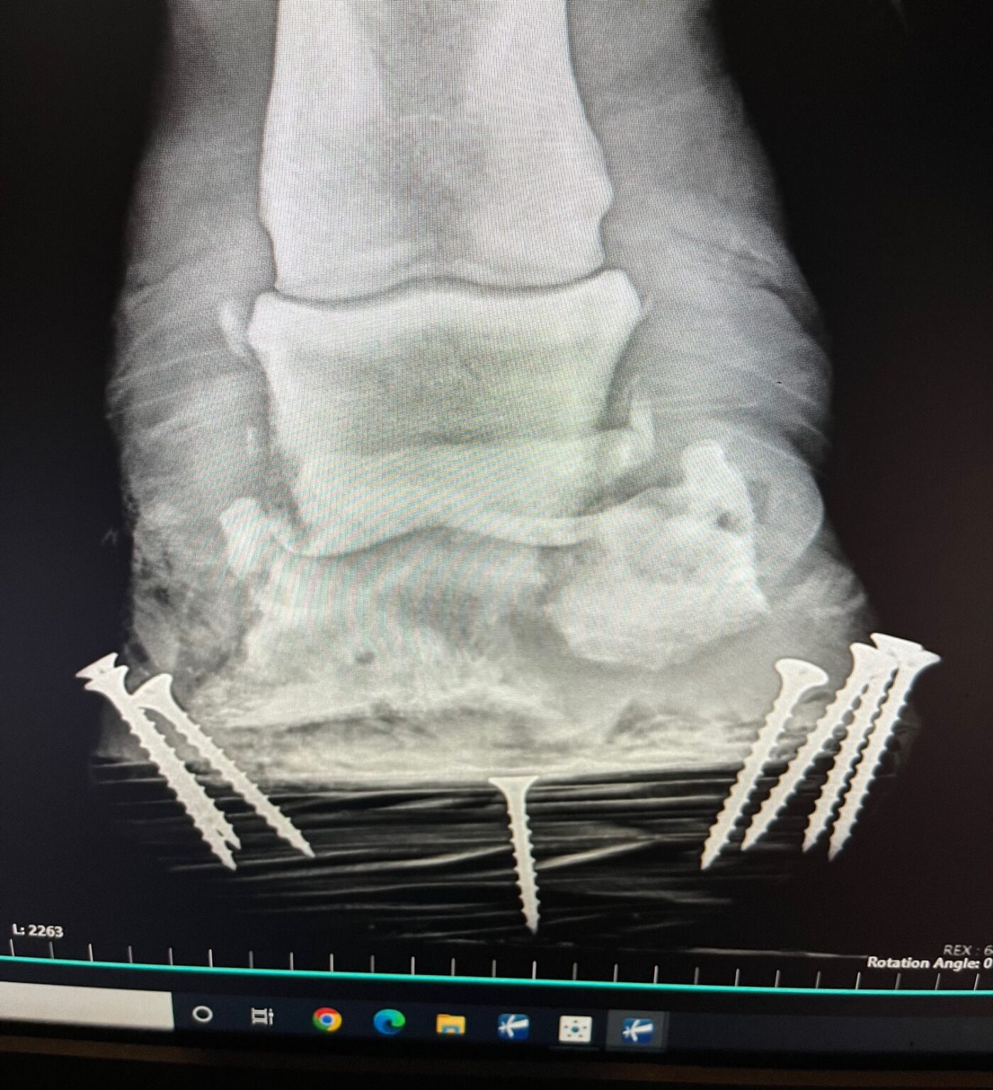 By Dr. Garrett Metcalf, DVM